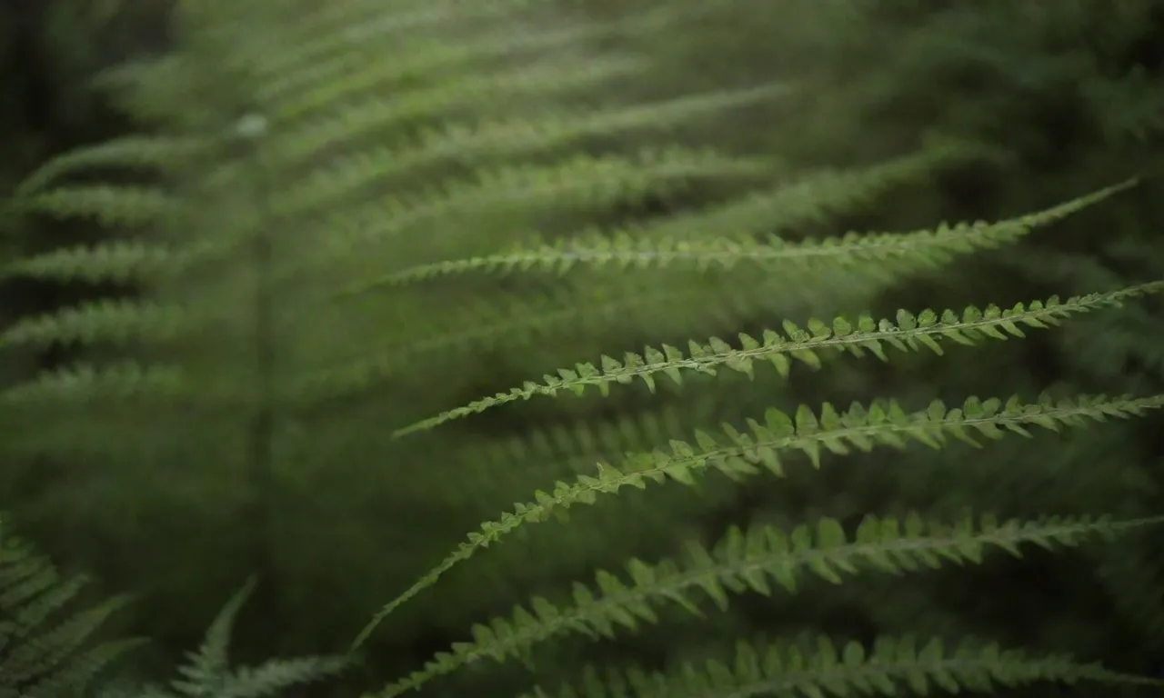 Pteridofitas: Características, Ejemplos y Tipos de Plantas